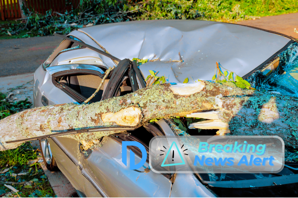 Eric Freeman Injured in Framingham Car Accident by Falling Tree - Local ...