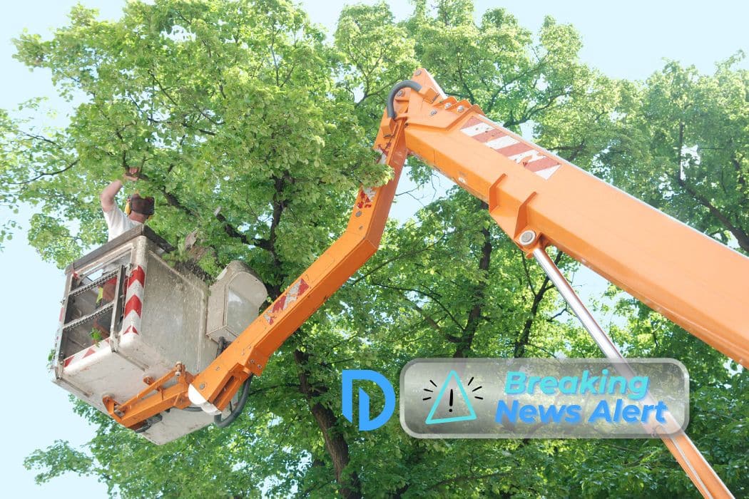 Man Killed in Rockland Tree Trimming Accident at Brentwood Arms ...